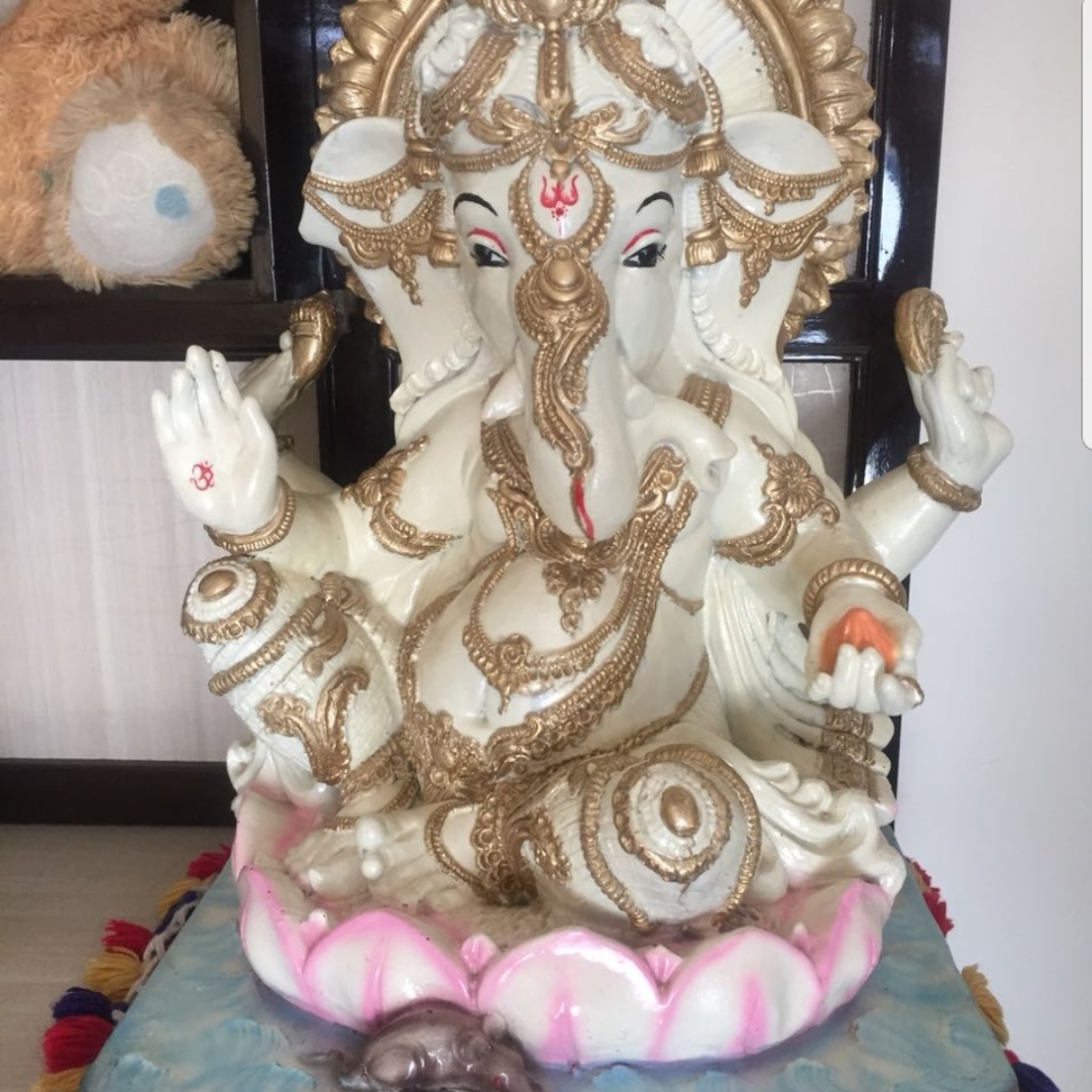 AA Party Hire - Your Event Management Partner in Auckland